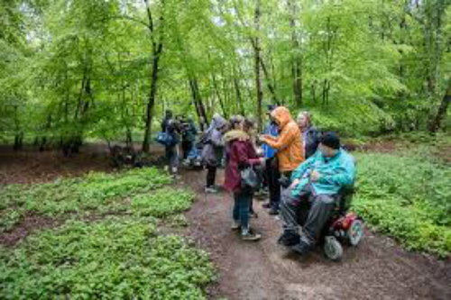 Guilden Sutton Green Space - about